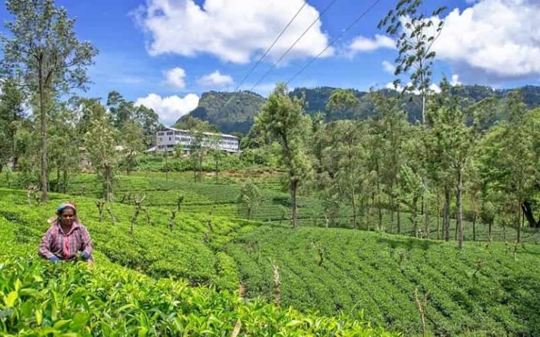 Travel World Planet - Explore the World Beauty