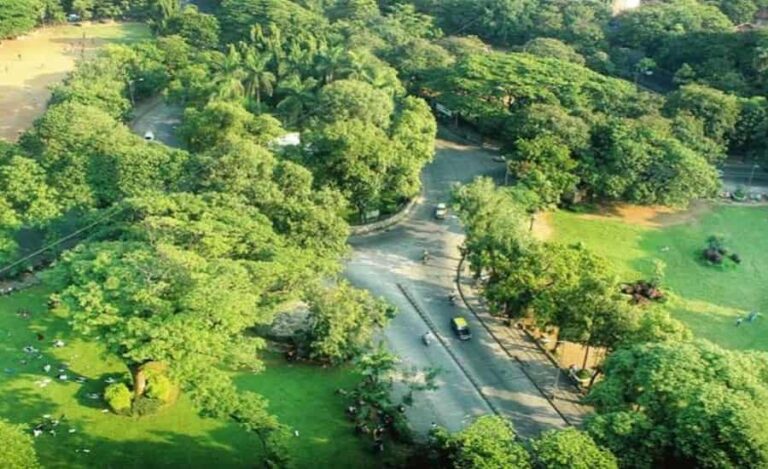 Top 10 Places to See in Dadar - Things to Do in Dadar, Mumbai