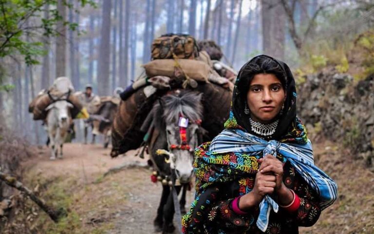 The Kinner ( (Kinnauri) Tribes of Kinnaur, Himachal Pradesh