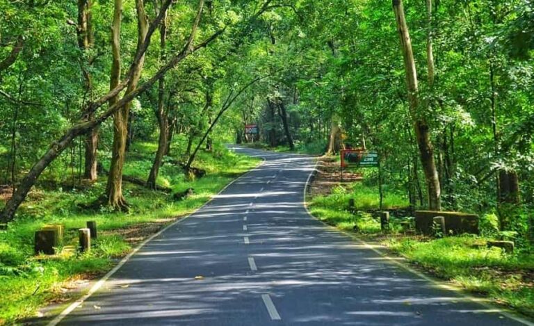 10 Best Routes & Places for Bike Riding in India