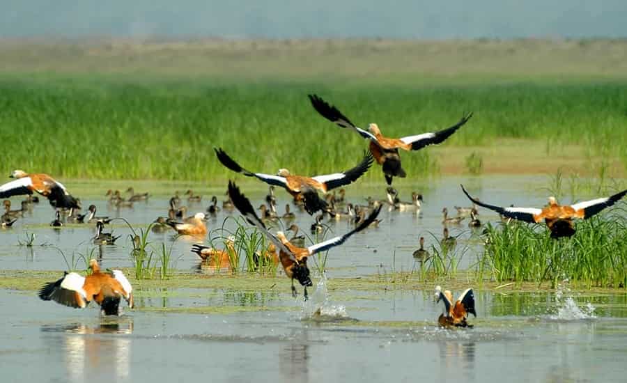 Top 10 Best Things to Do In Tripura