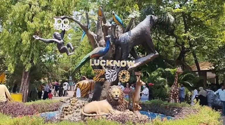 10 Best Things To See & Do In Lucknow