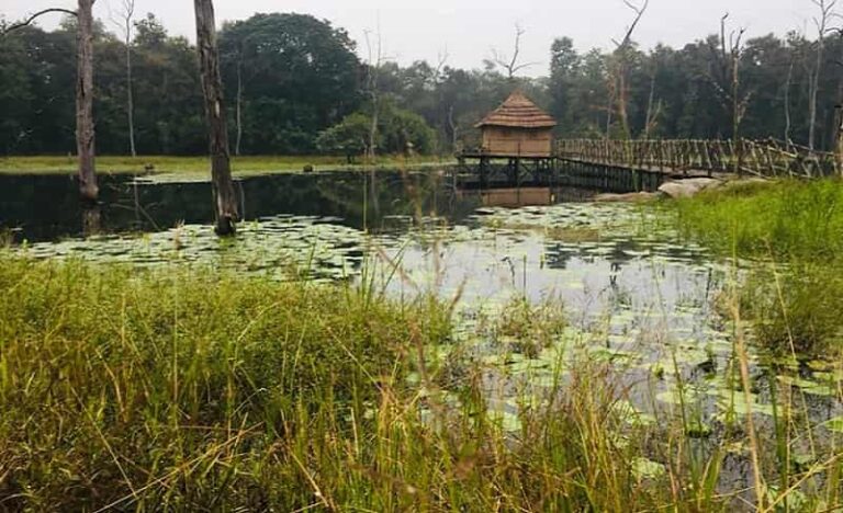 Wildlife Sanctuaries & National Parks in Andhra Pradesh Telangana