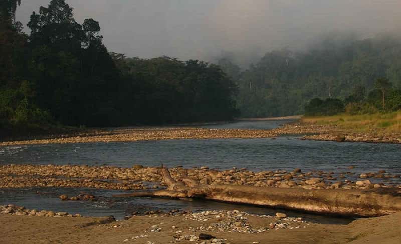 Top 6 Tourist Places to Visit in Changlang, Arunachal Pradesh