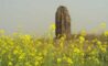 Top 10 Places to Visit in Purulia