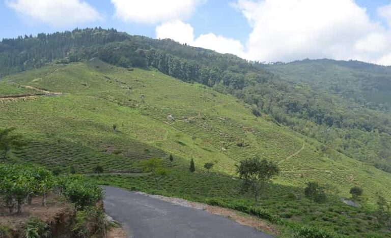 10 Best Offbeat Weekend Getaways in North Bengal