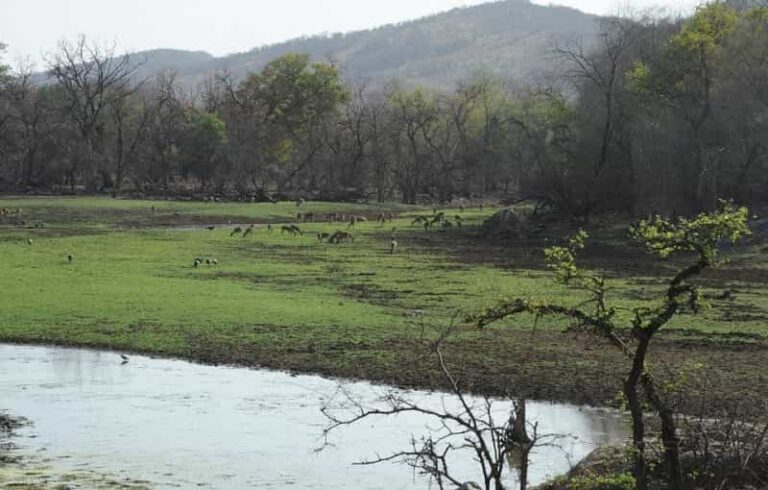 Top 7 Best Places To Visit in Ranthambore & Things To Do