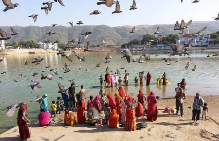 7 Best Places To Visit in Pushkar - Things to Do in Pushkar