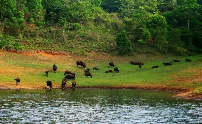 25 Most Beautiful Places to visit in Kerala