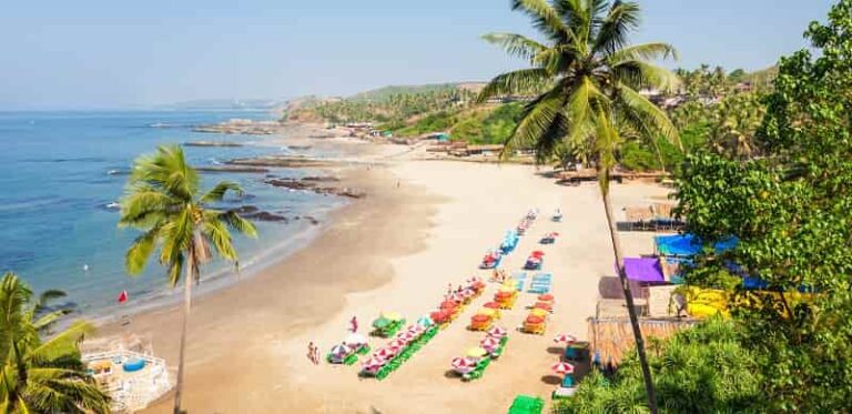 Top 19 Must-Visit Restaurants In South Goa