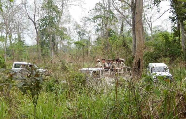 National Parks and Wildlife Sanctuaries in Nagaland