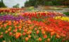 Minnesota Landscape Arboretum - A Botanical Paradise
