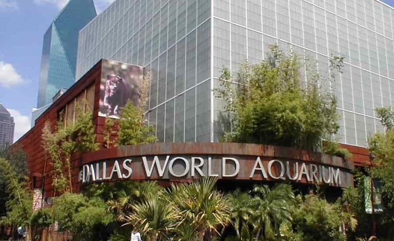 Dallas World Aquarium: Unveiling Aquatic Wonders